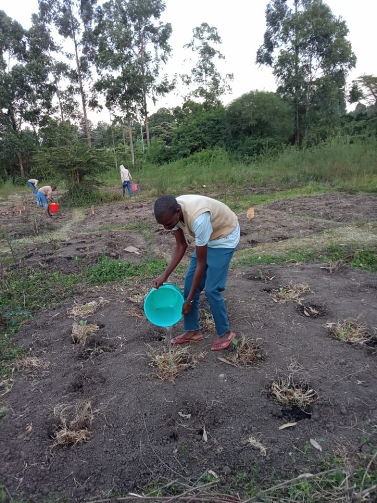 Agriculture - Siwot Secondary School A Great County Secondary School In ...